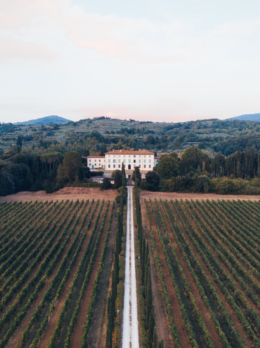 Example of a Vineyard Site | Hotel Web-Design